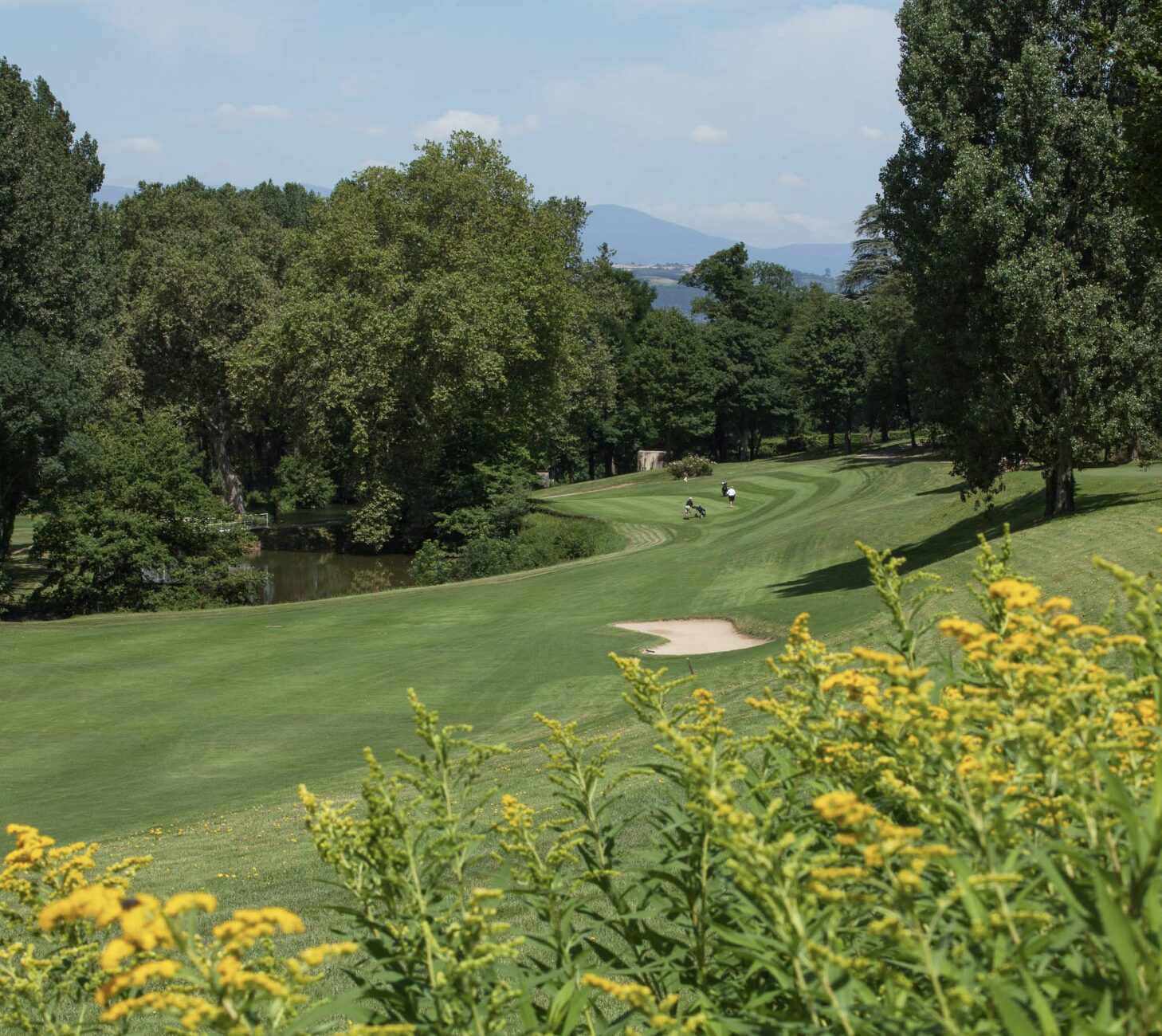 Découvrir le Golf au Domaine d'Albon : Une Aventure en Harmonie avec la ...